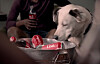 Coca-Cola gjentar navne-suksessen | Kampanje